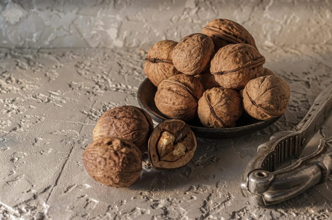 Can Birds Eat Walnuts A Vet Approved Guide for Bird Lovers - All About ...