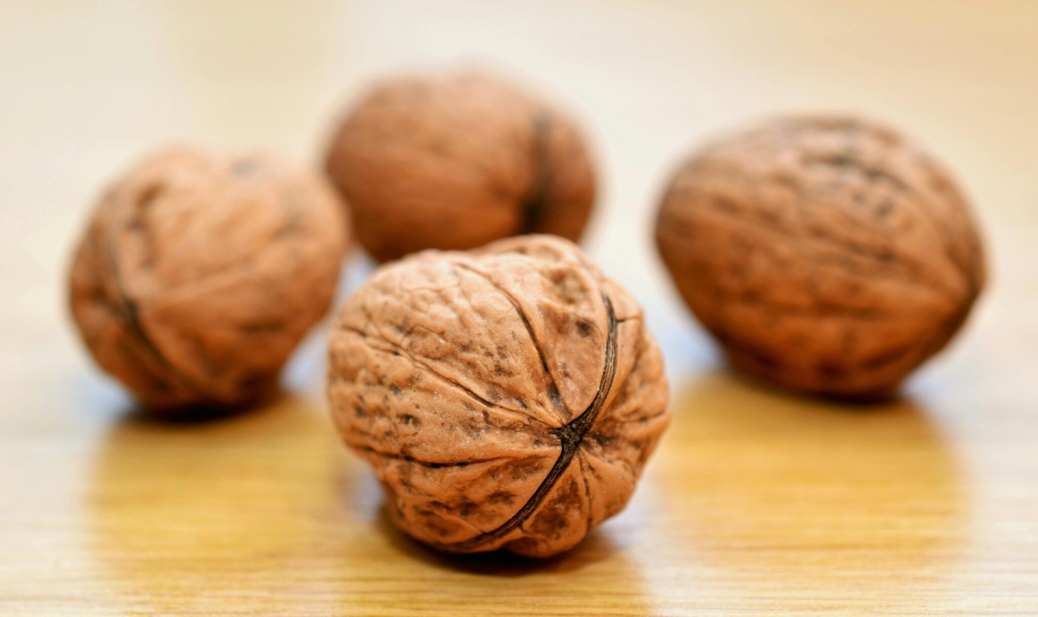 Can Birds Eat Walnuts A Vet Approved Guide for Bird Lovers - All About ...